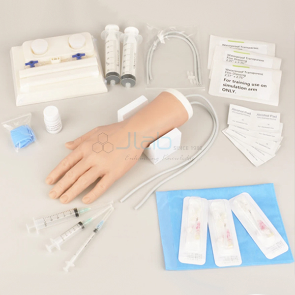 Intravenous Training Hand India, Manufacturers, Suppliers & Exporters in India