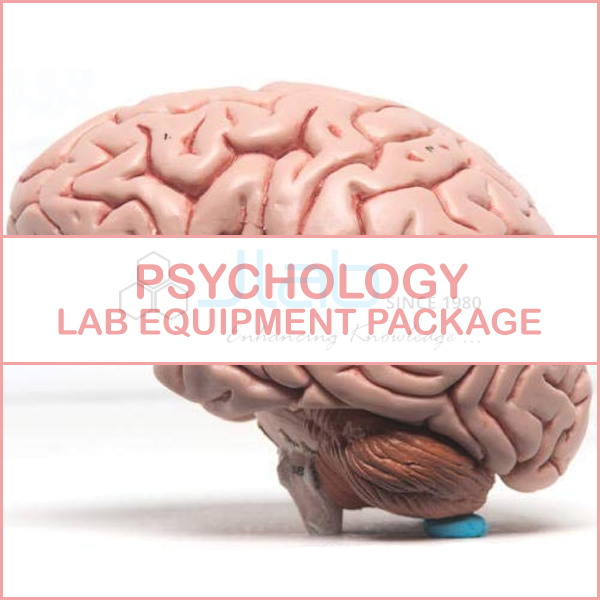 Psychology Lab Packages India, Manufacturers, Suppliers & Exporters in ...