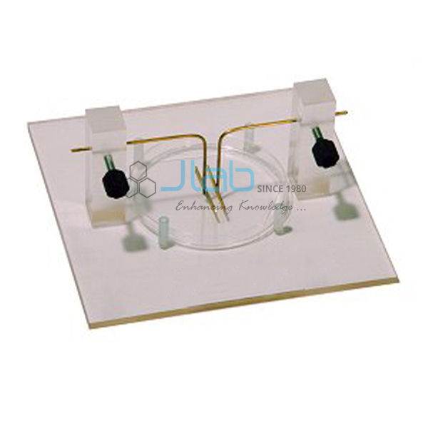 Eureka Can (Overflow Cans Plastic) India, Albania (Tirane), Algeria ...