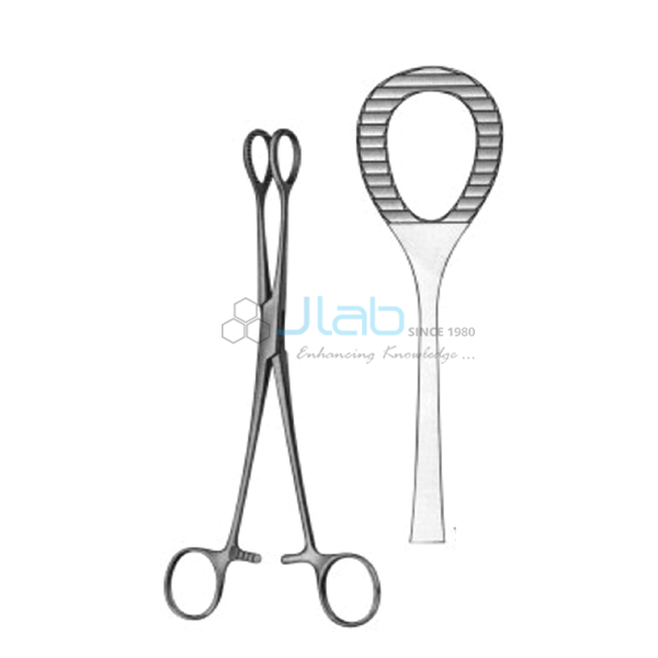 Swab Holders India, Albania (Tirane), Algeria (Algiers), Andorra ...