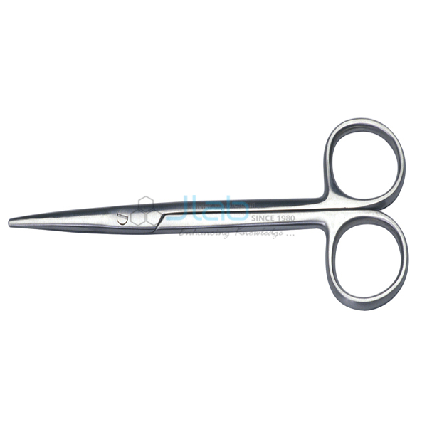 Metzenbaum Straight Scissors India, Albania (Tirane), Algeria (Algiers ...