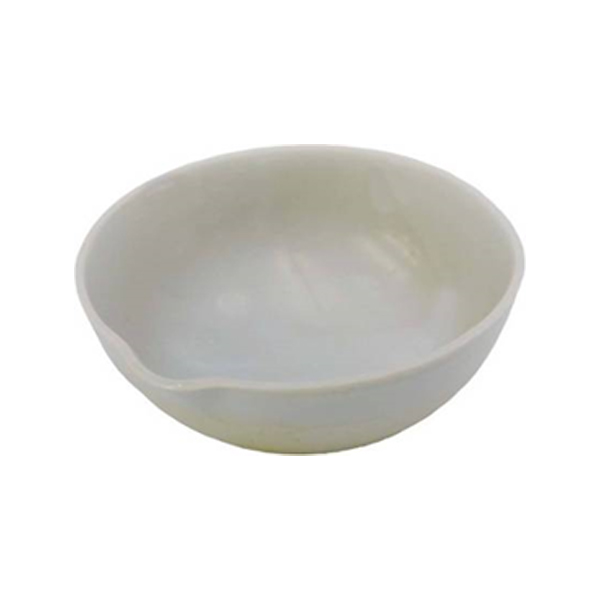 China dish store