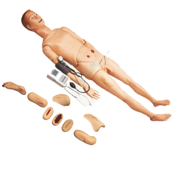 Advanced Nurse Training Doll with Blood Pressure Training Arm Male ...