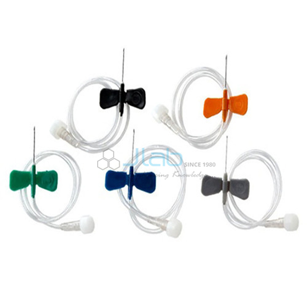 Scalp Vein India, Albania (Tirane), Algeria (Algiers), Andorra (Andorra ...